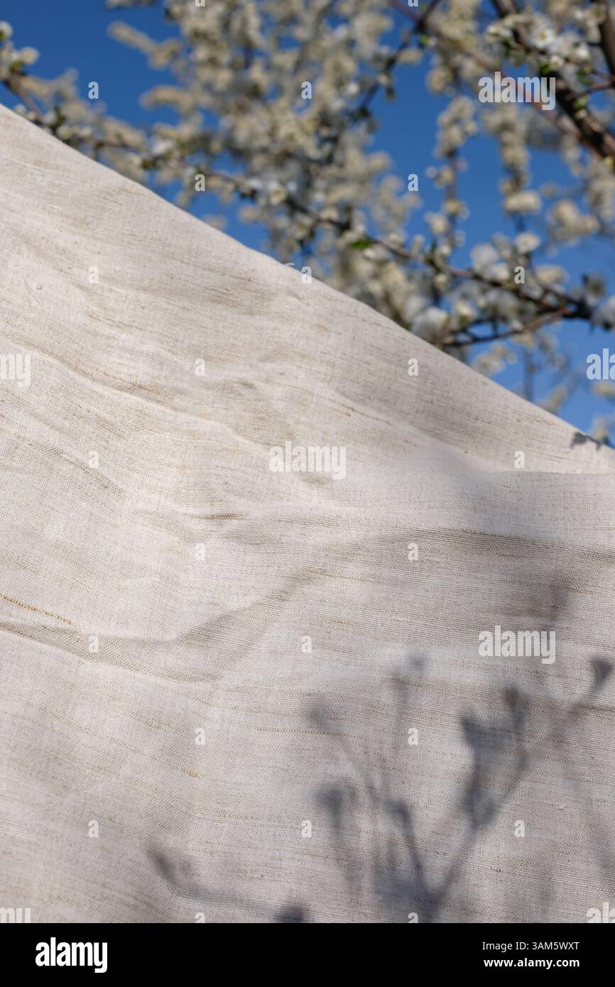 Beige Undyed Linen Fabric on the Sky Background and Blooming Fruit Tree ...