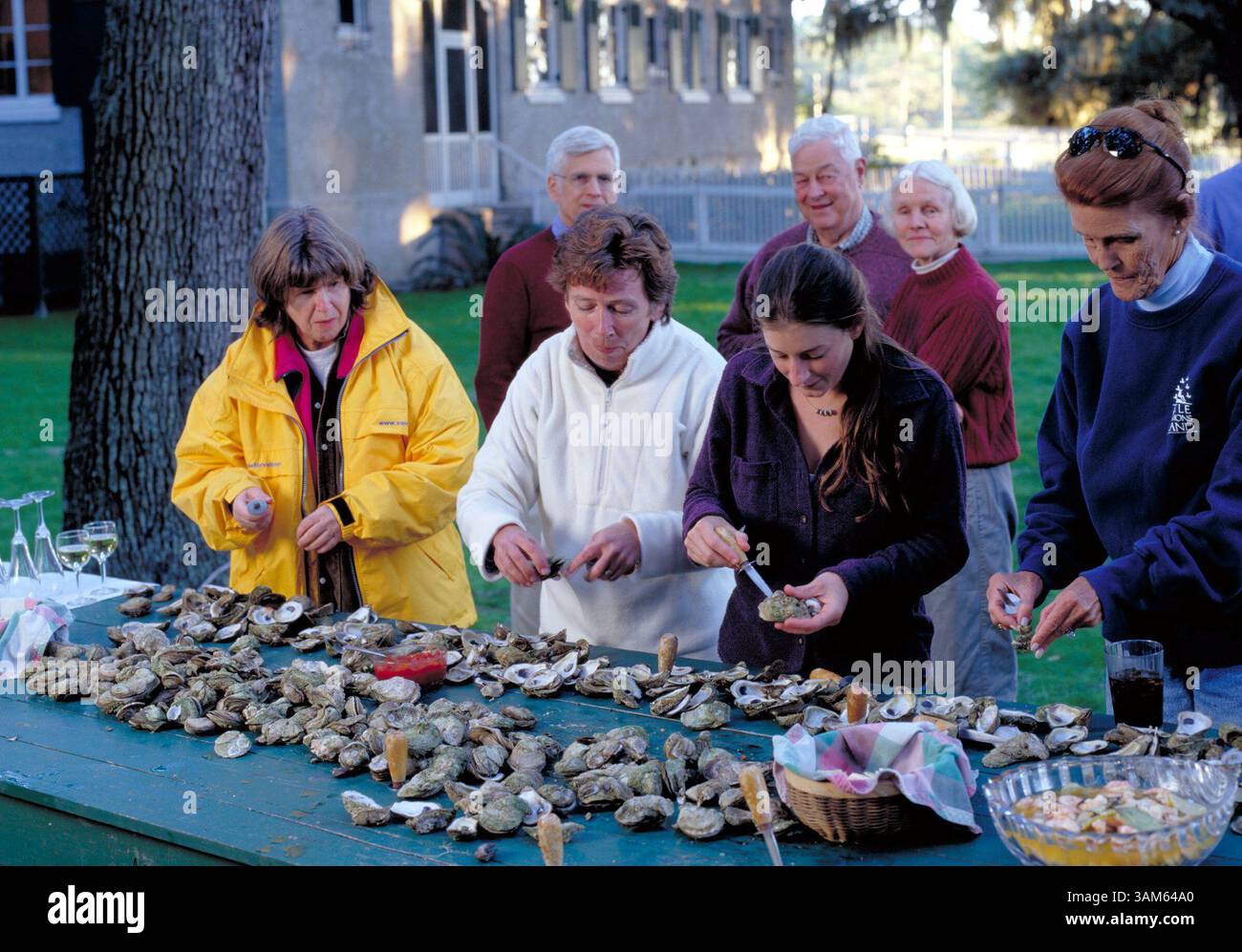 Little st simons island georgia oyster hi-res stock photography and ...