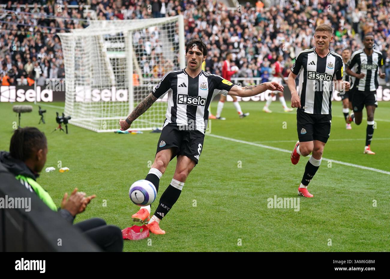 Newcastle United's Sandro Tonali celebrates scoring their side's first ...