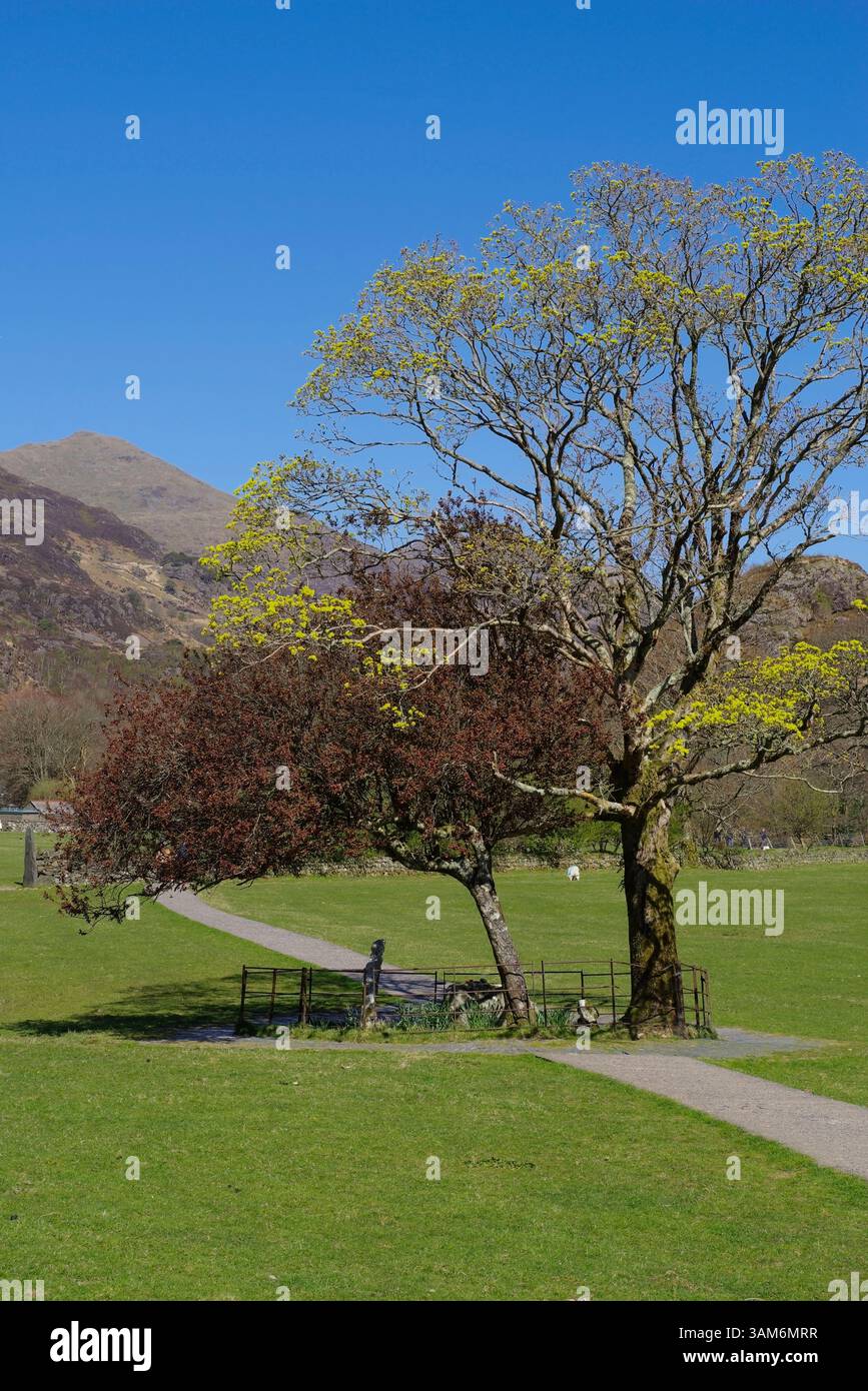 Beddgelert legend hi-res stock photography and images - Alamy