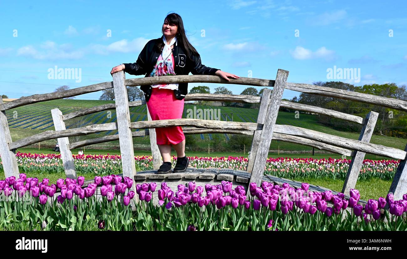 The Tulip festival is set in the beautiful Warwickshire countrise .They ...