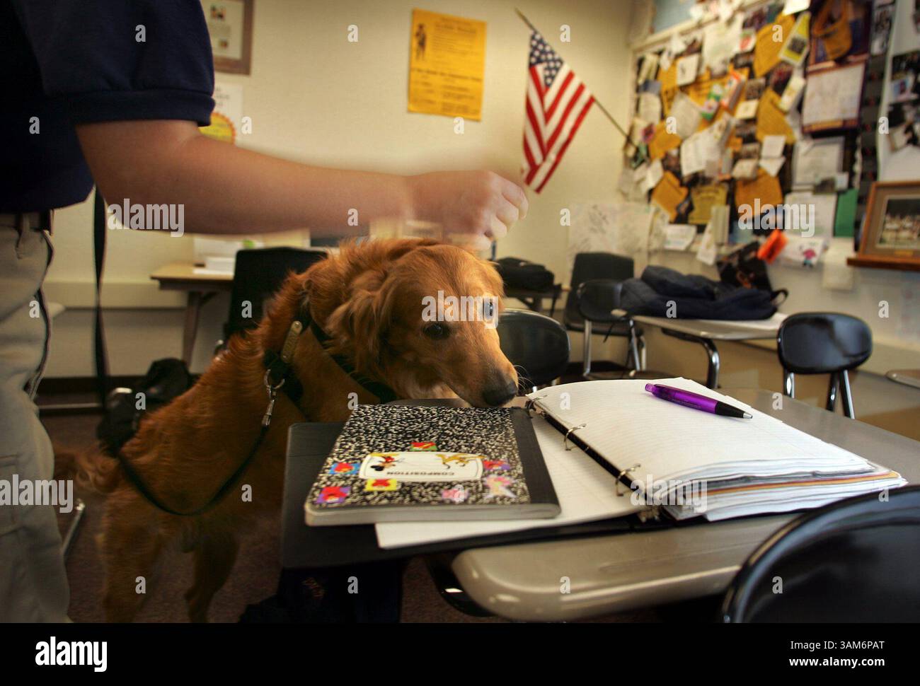 School dog drugs hi-res stock photography and images - Alamy