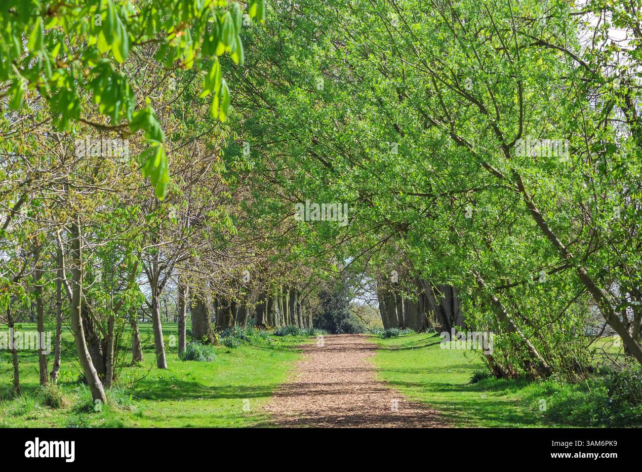 Moira Demesne, Moira, County Down, Northern Ireland, UK. 13 Apr 2025 ...