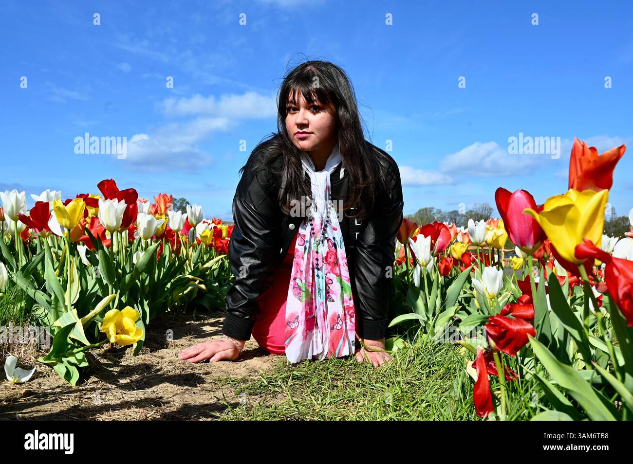 The Tulip festival is set in the beautiful Warwickshire countrise .They ...