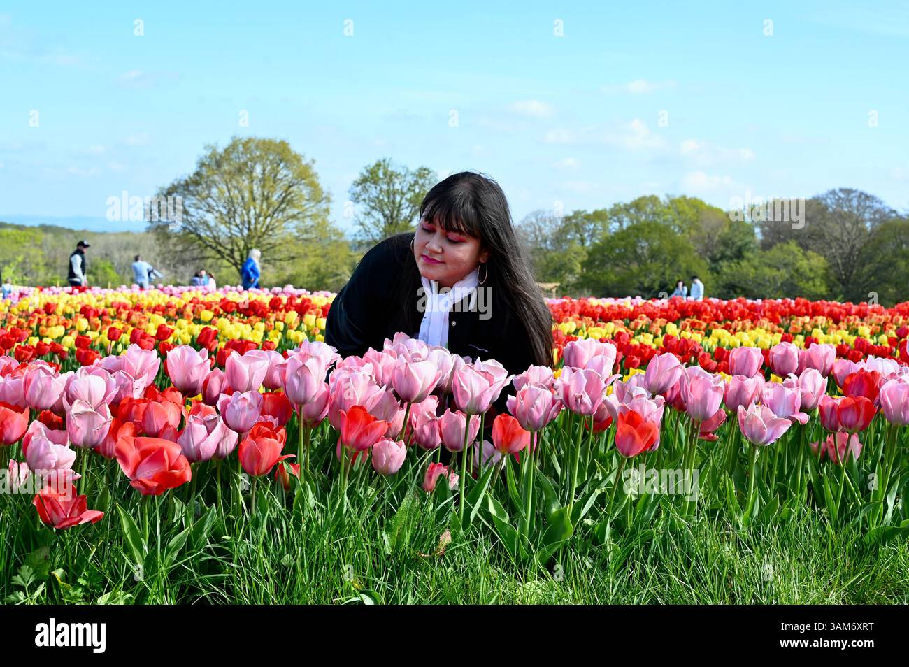 The Tulip festival is set in the beautiful Warwickshire countrise .They ...