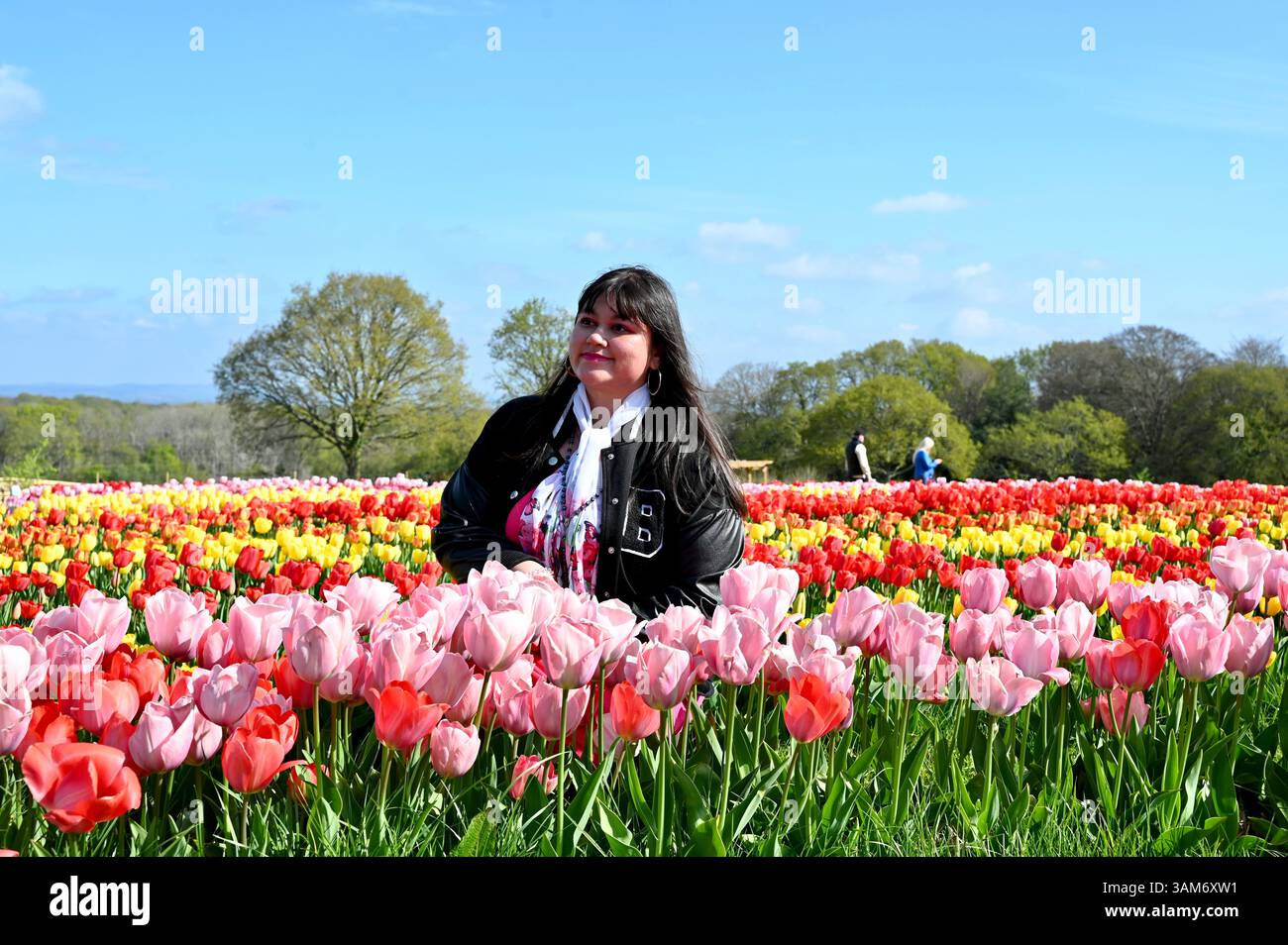 The Tulip festival is set in the beautiful Warwickshire countrise .They ...