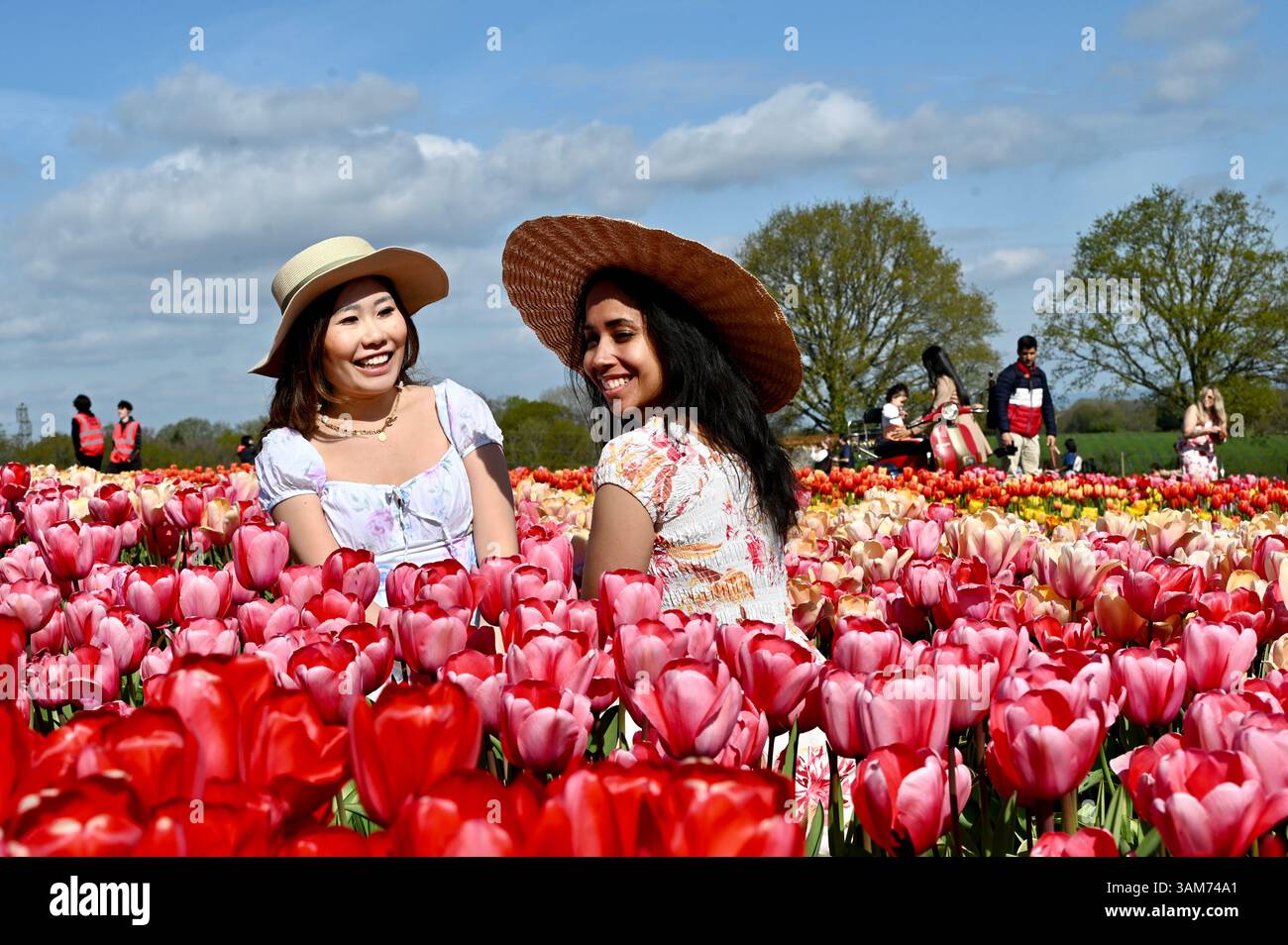 The Tulip festival is set in the beautiful Warwickshire countrise .They ...