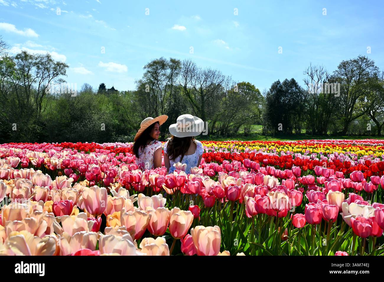 The Tulip festival is set in the beautiful Warwickshire countrise .They ...