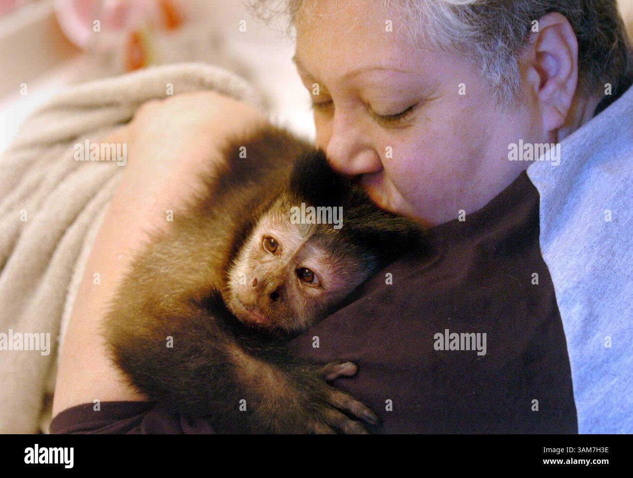 Helping hands monkey hi-res stock photography and images - Alamy