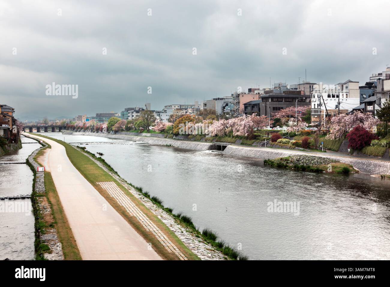 View of the Kamo River from Shijō Bridge, Kyoto, Japan Stock Photo - Alamy