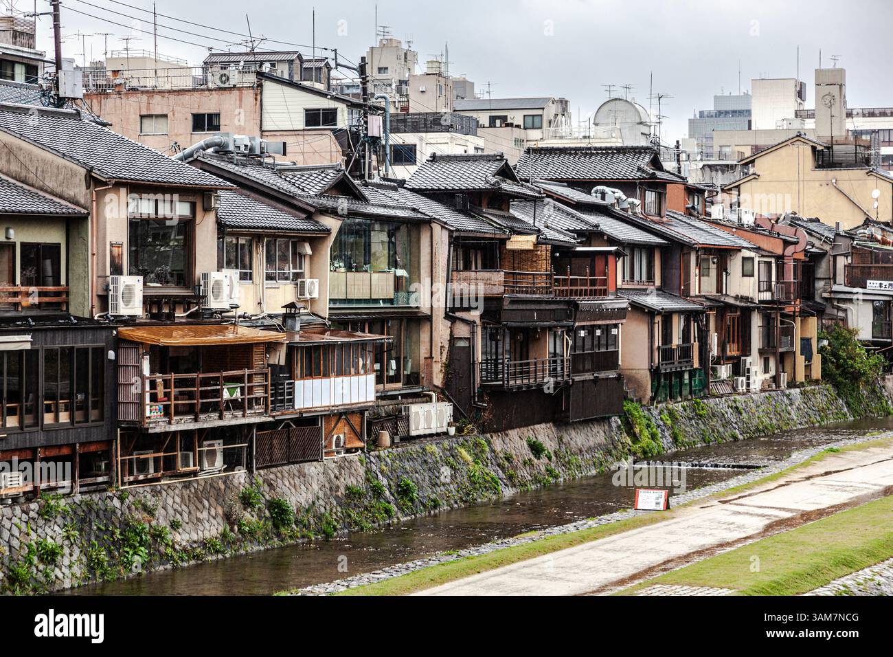 Traditional machiya houses along the riverside of the Kamo River, view ...