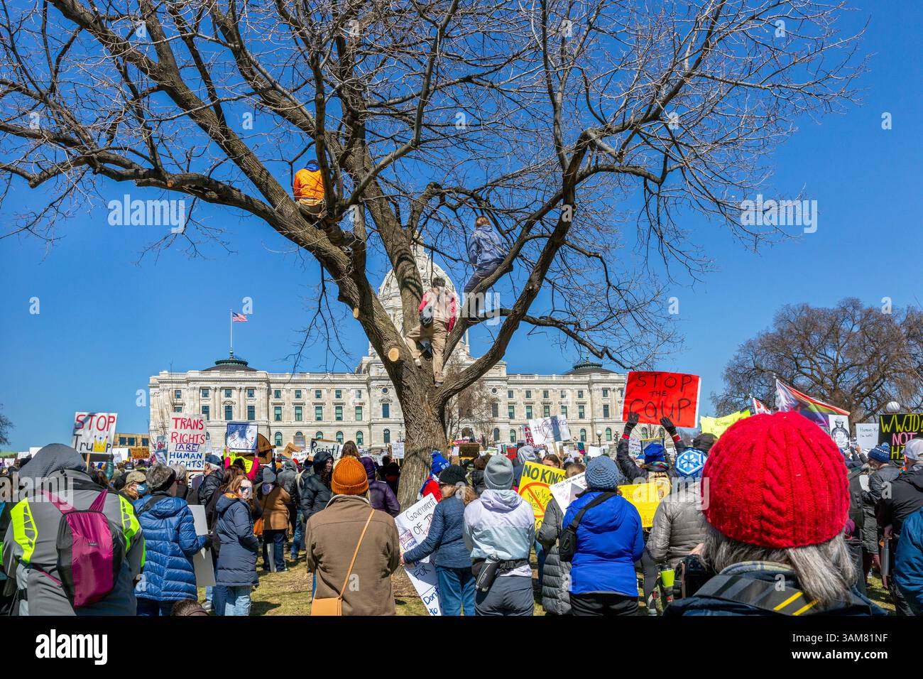 People sitting in a tree listening to speakers at the Hands Off protest ...