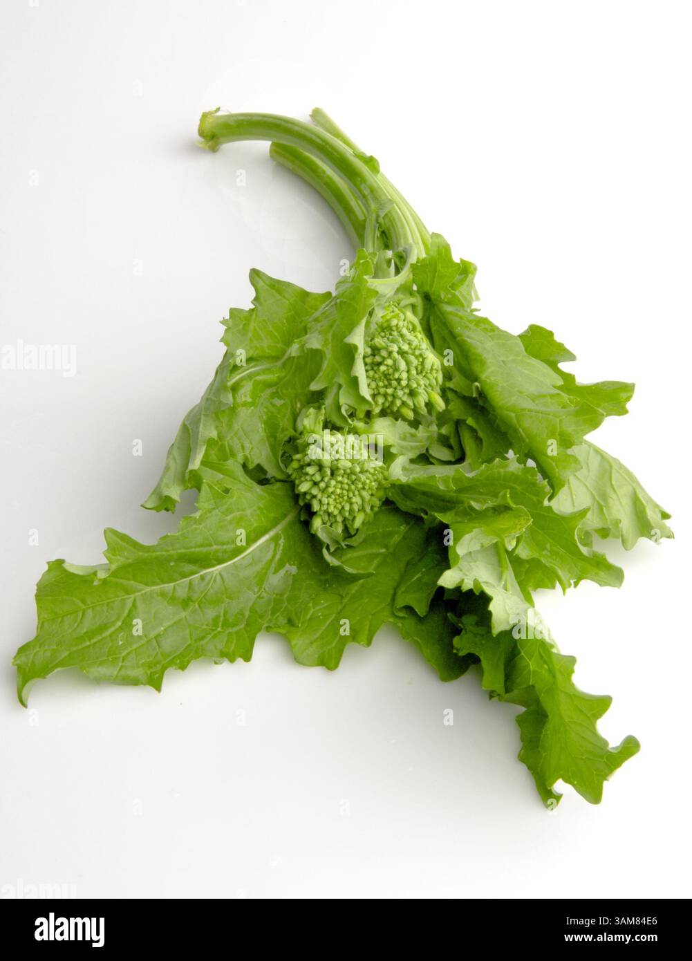 Rapinis hi-res stock photography and images - Alamy