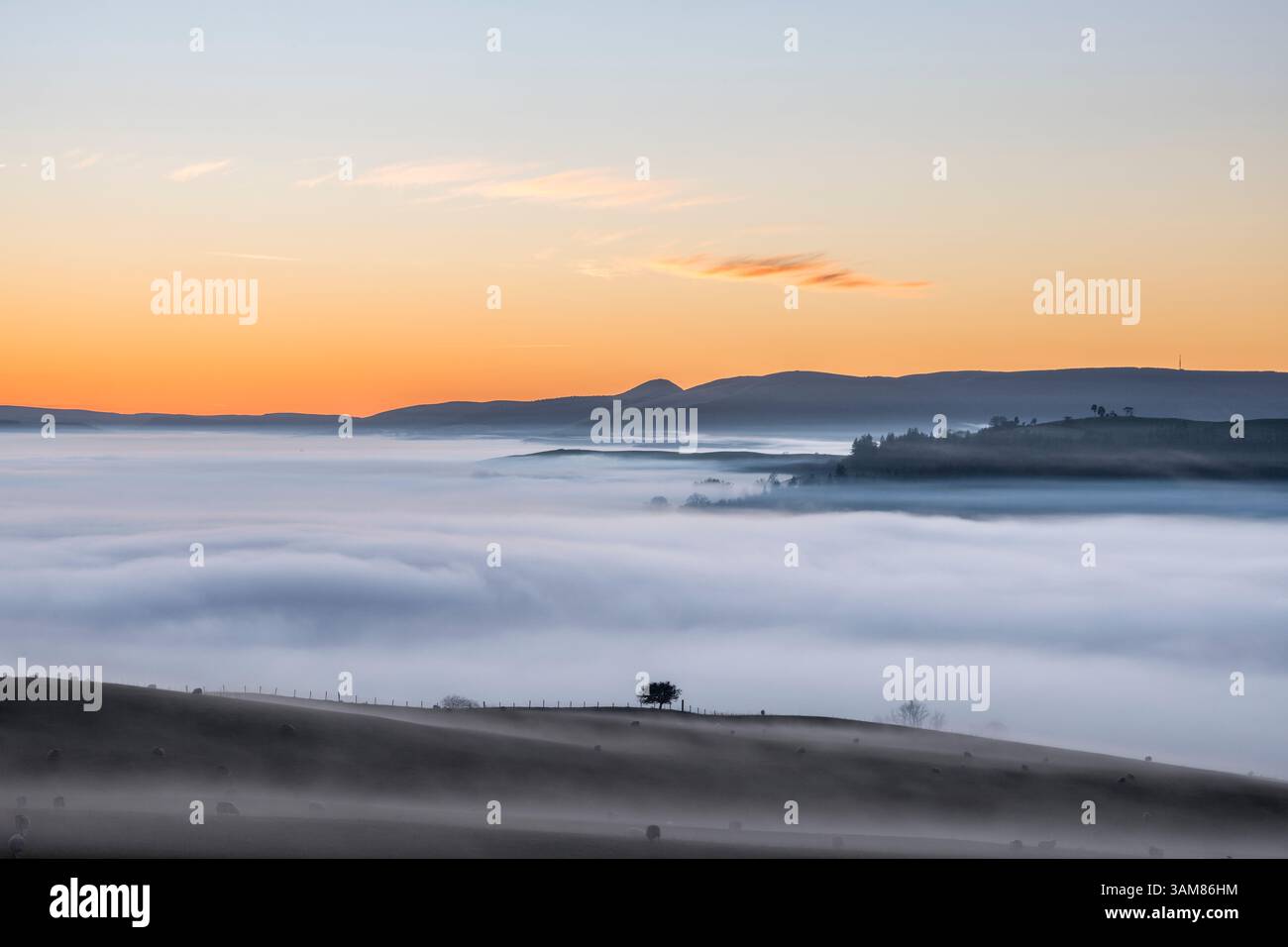 Sunset above a sea of mist caused by a temperature inversion, seen from ...