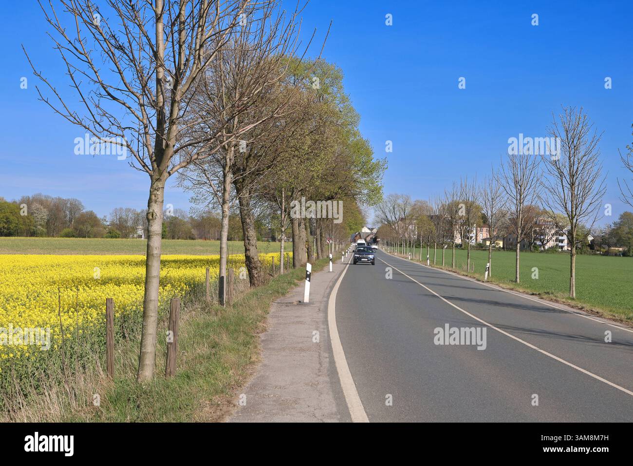 Landstraßen fernab der Stadt Der Wattenscheider Hellweg verbindet als ...