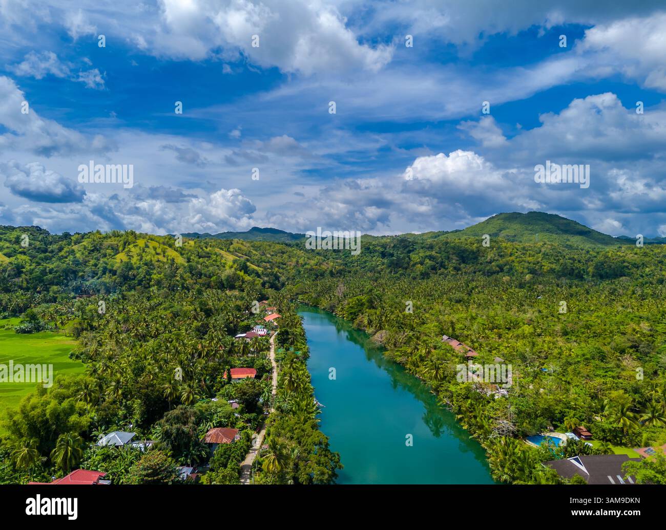 Loboc River with palm trees in Bohol island, Philippines. Aerial drone ...