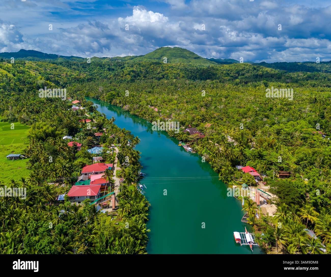 Loboc River with palm trees in Bohol island, Philippines. Aerial drone ...