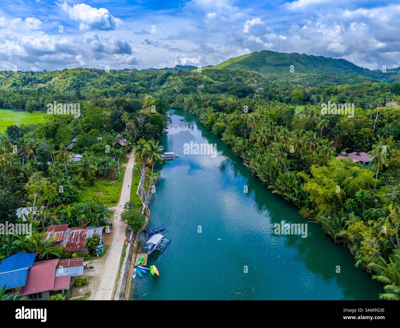 Loboc River with palm trees in Bohol island, Philippines. Aerial drone ...