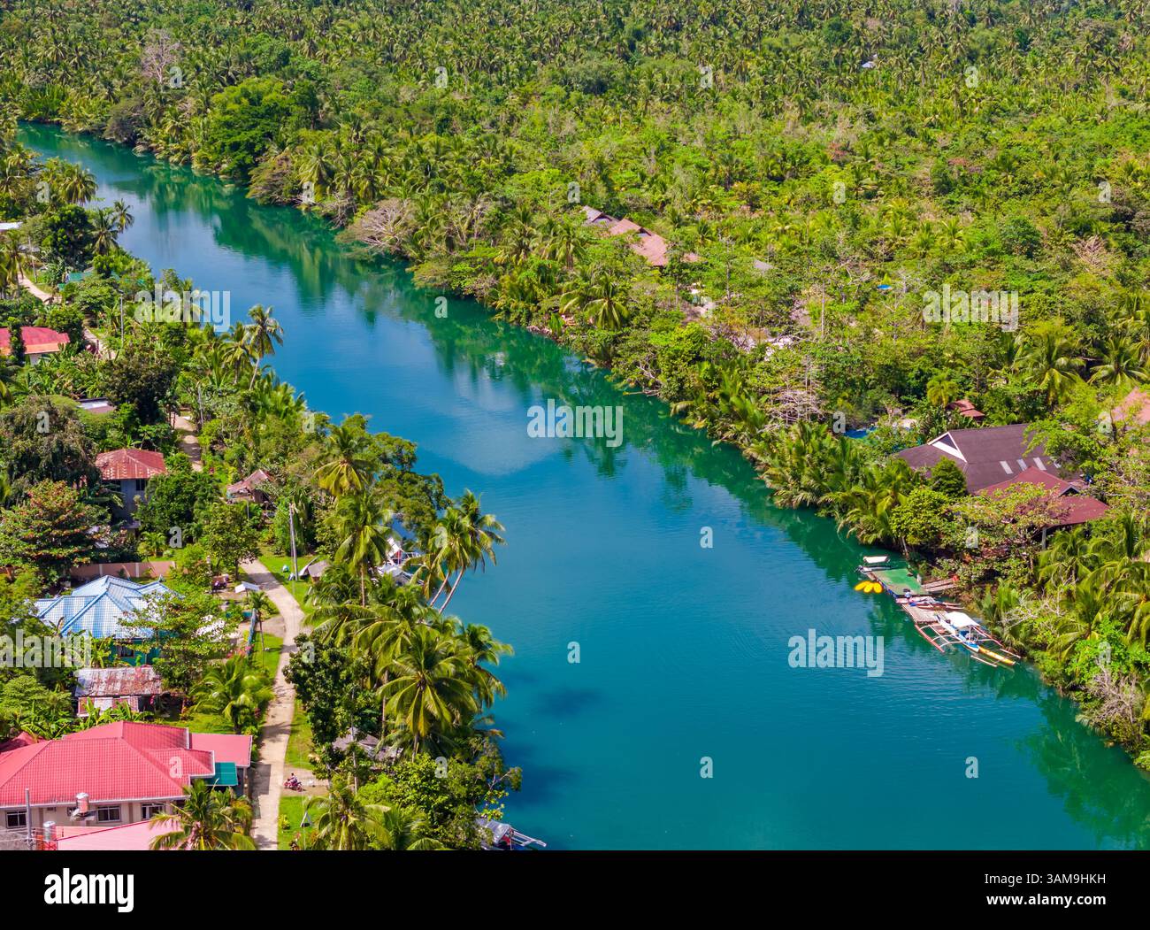 Loboc River with palm trees in Bohol island, Philippines. Aerial drone ...