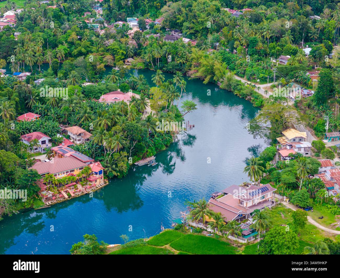 Loboc River with palm trees in Bohol island, Philippines. Aerial drone ...