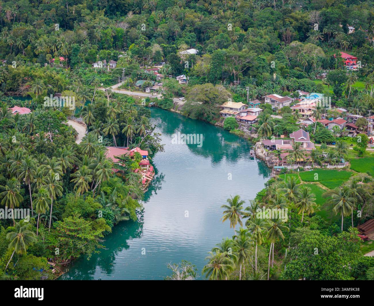 Loboc River with palm trees in Bohol island, Philippines. Aerial drone ...