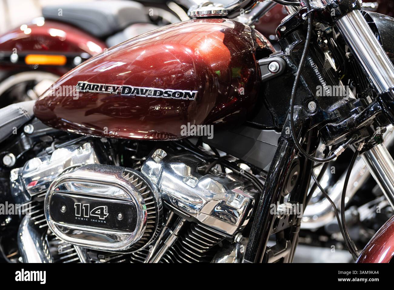 Das Logo der amerikanischen Motorradmarke Harley-Davidson ist beim Tag ...