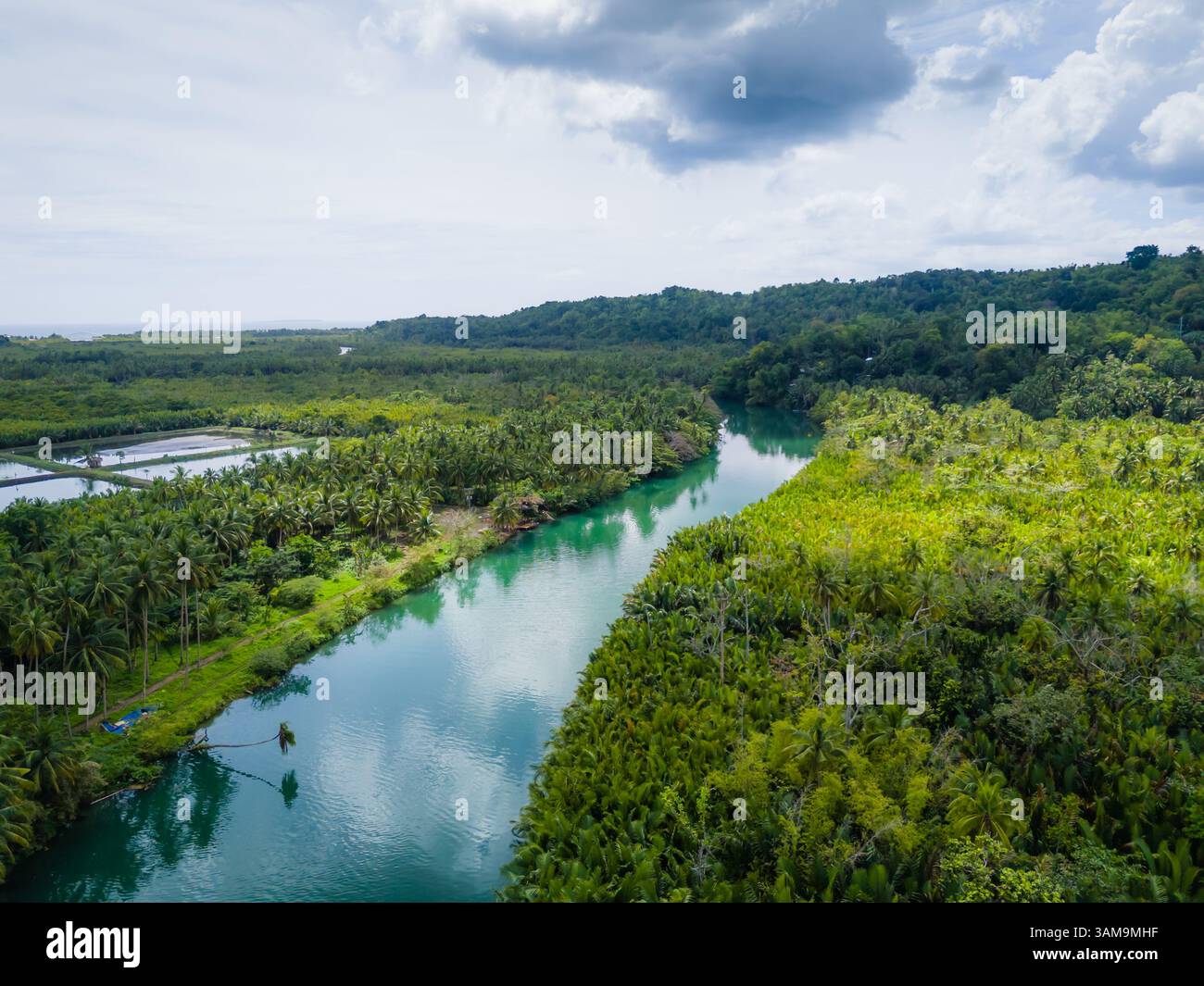 Loboc River with palm trees in Bohol island, Philippines. Aerial drone ...
