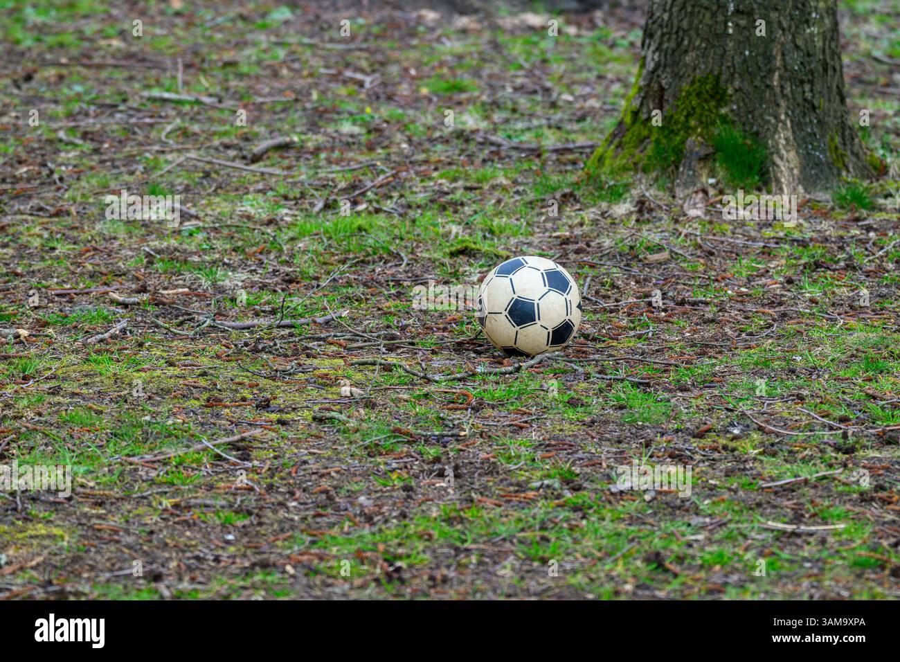 A soccer ball lies on the soft ground in a park setting, surrounded by ...