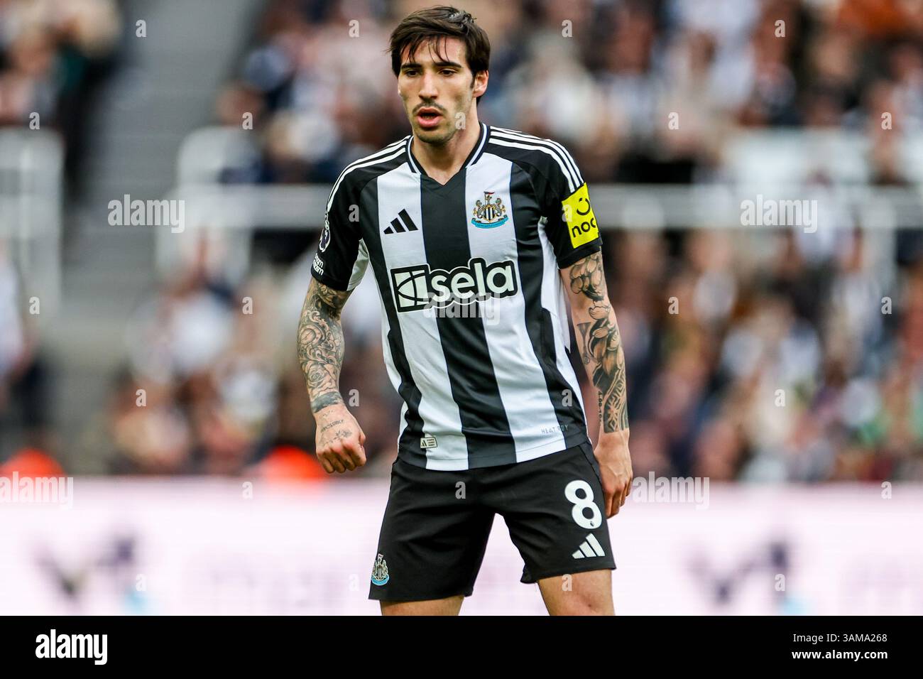 Sandro Tonali of Newcastle United in action during the Premier League ...