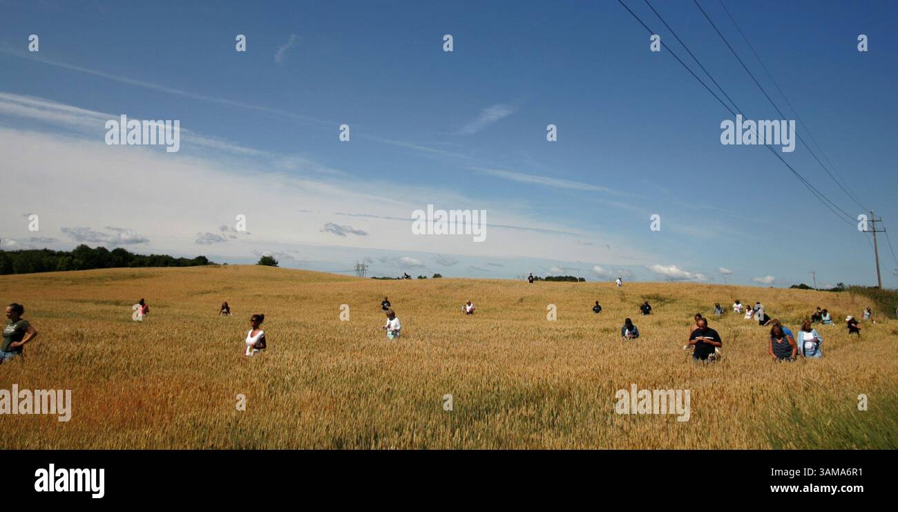 June 22, 2007 - U.S. - Large teams of volunteers comb the fields and ...