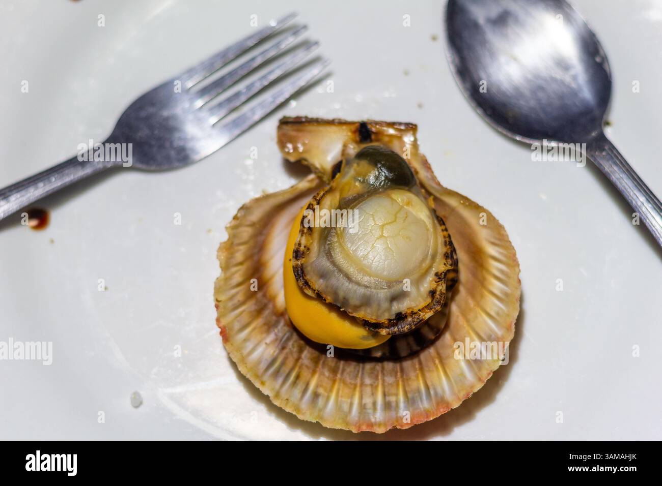 A steamed scallop shell on a plate with spoon and fork at a dinner ...