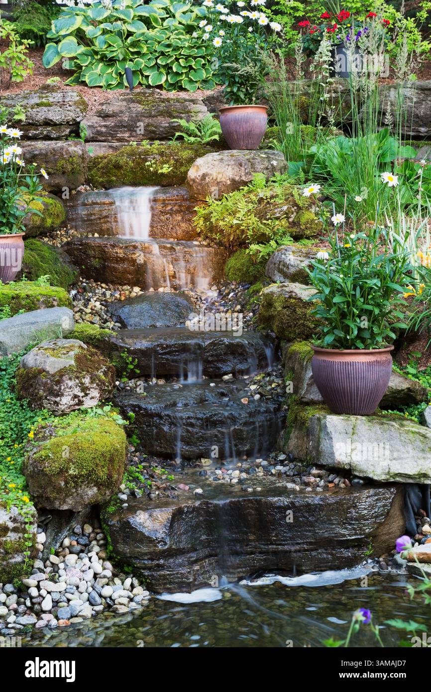 Pond and illuminated cascading waterfall bordered with Hosta plants ...