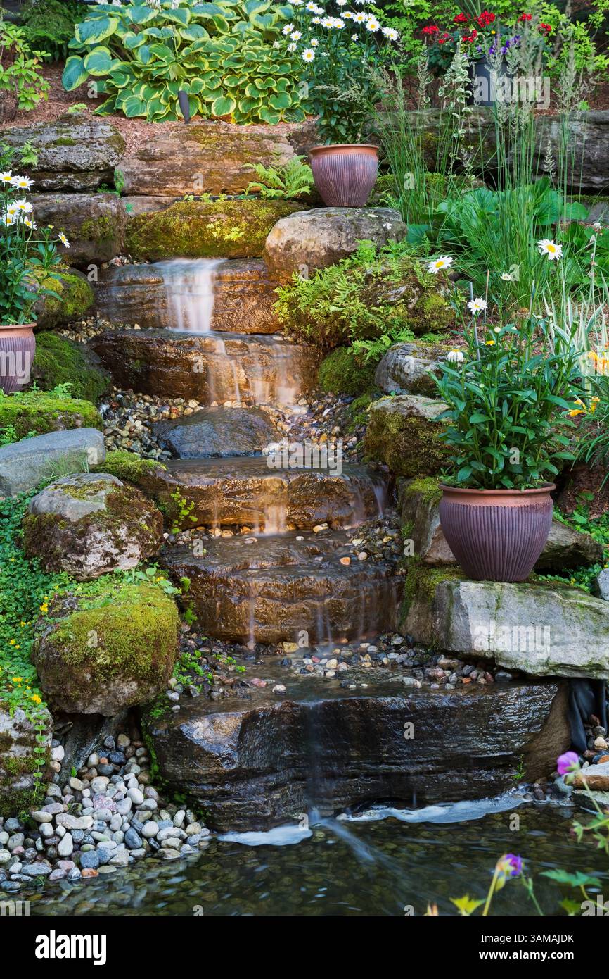 Pond and illuminated cascading waterfall bordered with Hosta plants ...