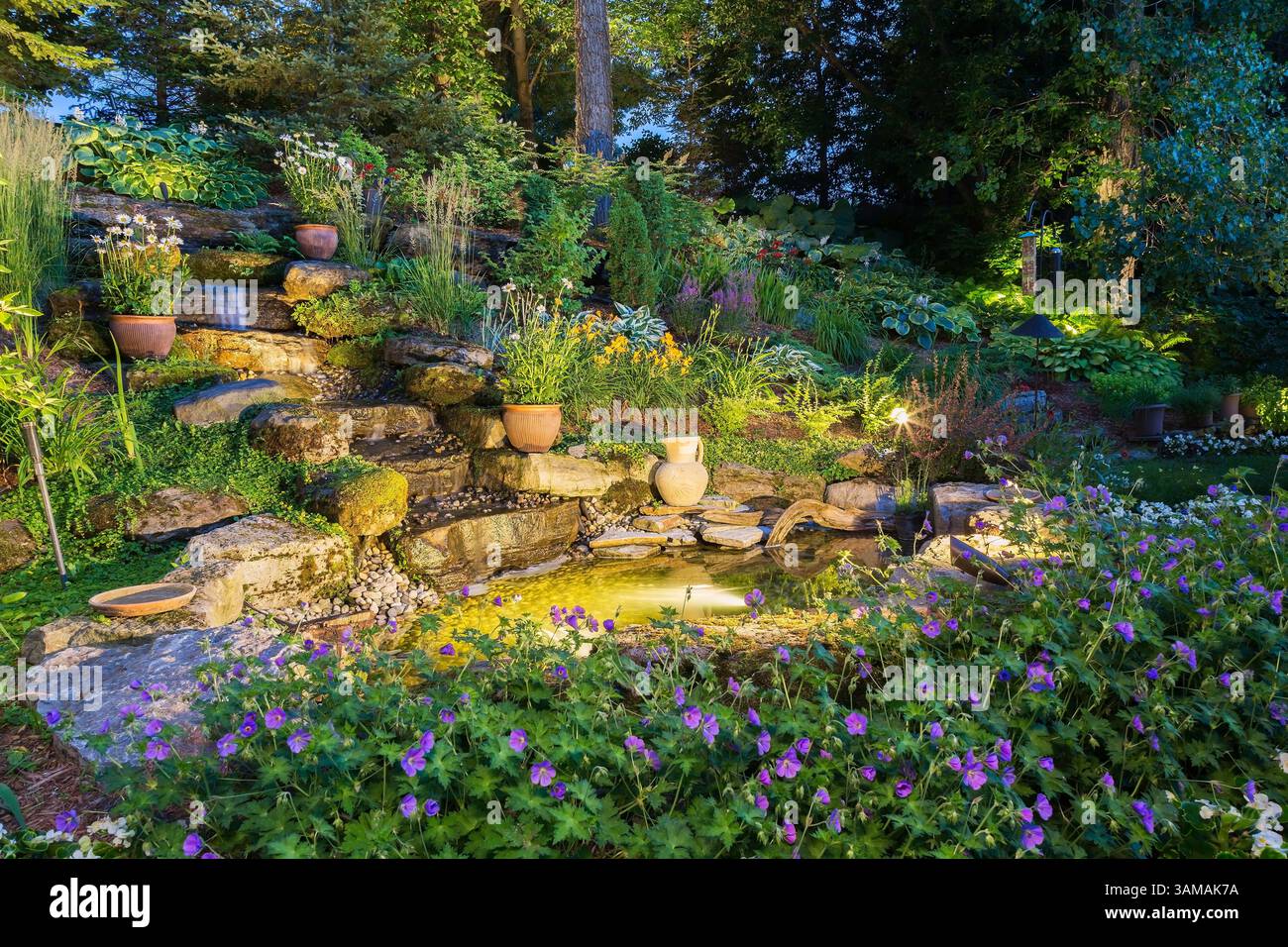 Illuminated cascading waterfall and pond at dusk bordered with Geranium ...