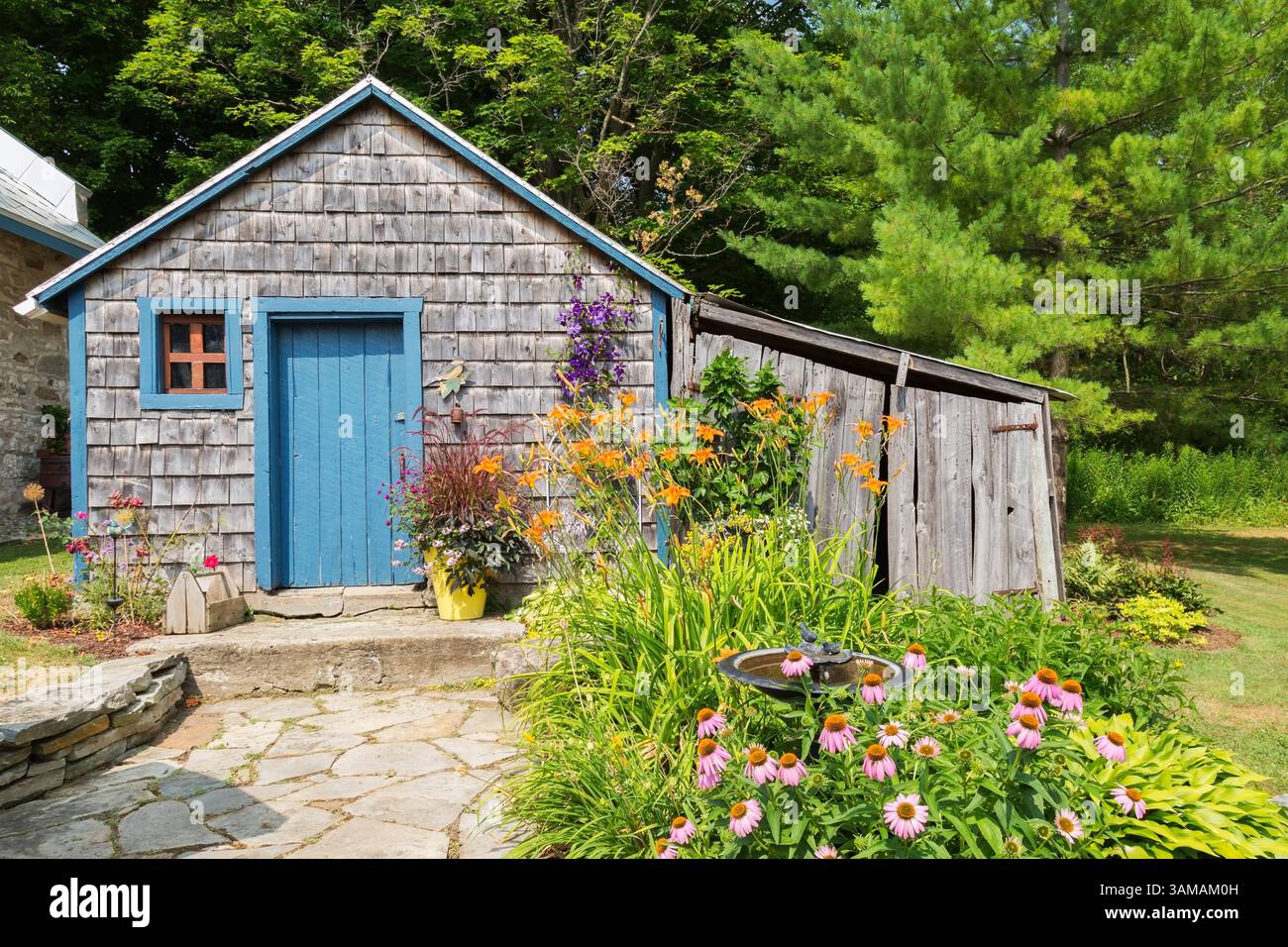 Flagstone path and grey weathered cedar shingles garden shed facade ...