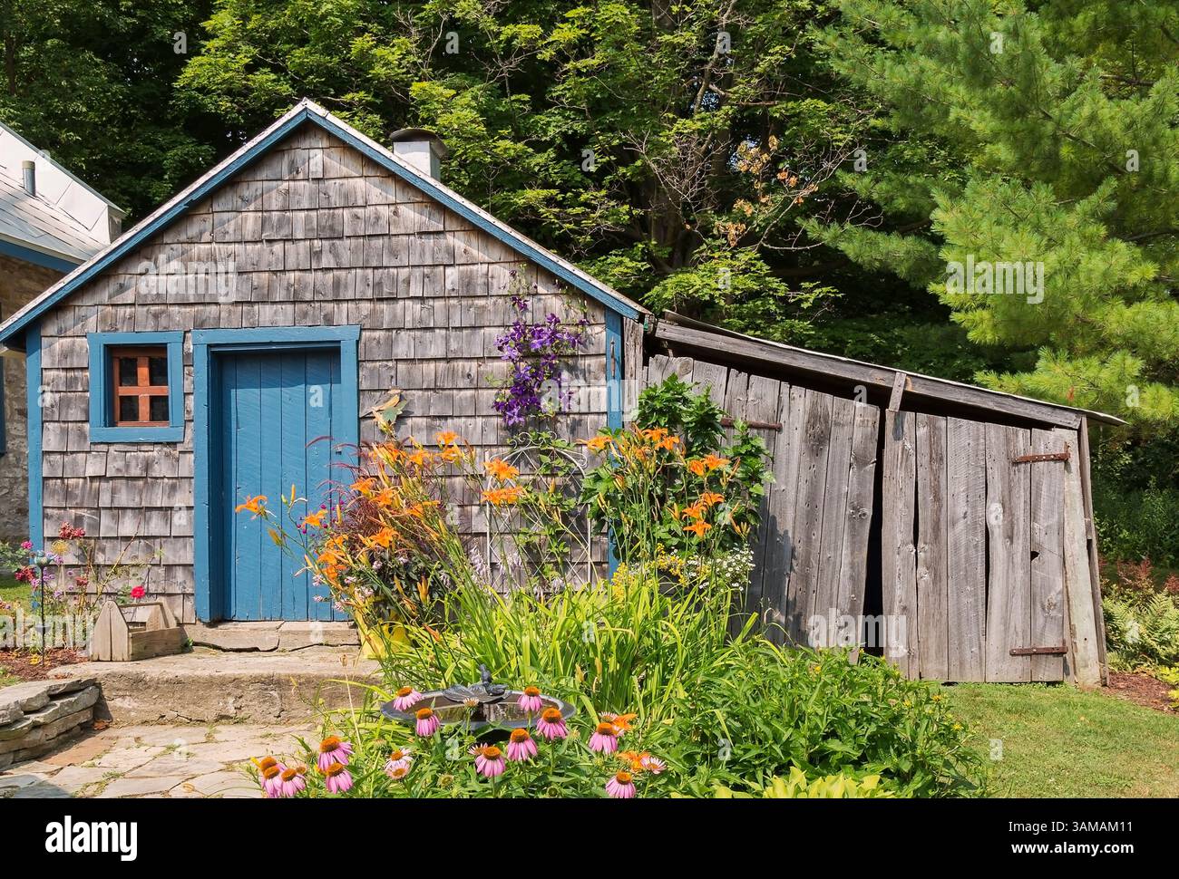 Flagstone path and grey weathered cedar shingles garden shed facade ...