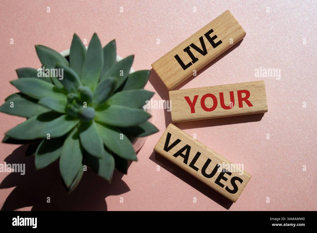 Live your values symbol. Concept words 'Live your values' on wooden ...