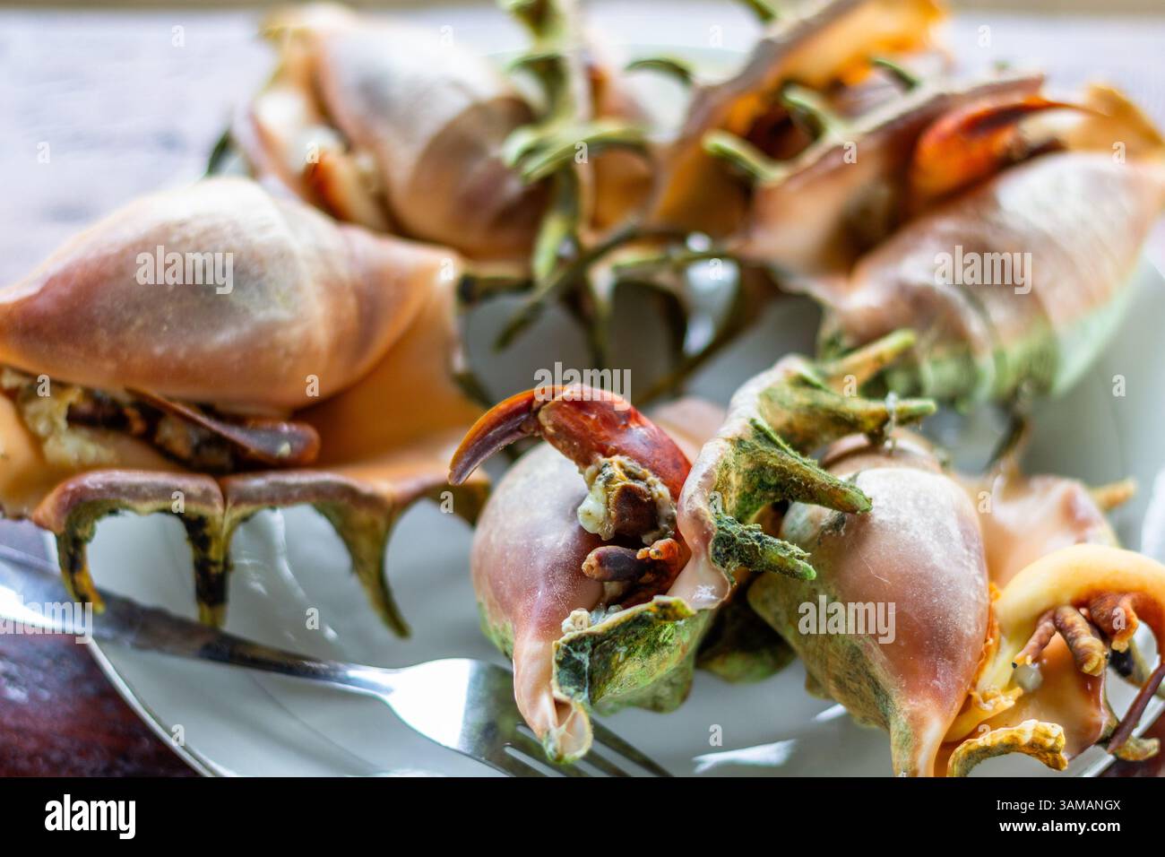 Steamed fresh spider conches served on a plate at a dining table, a ...