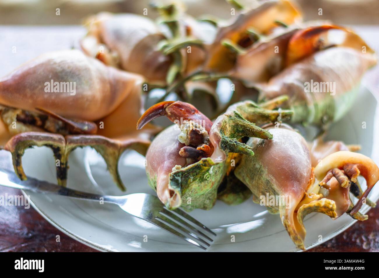 Steamed fresh spider conches served on a plate at a dining table, a ...