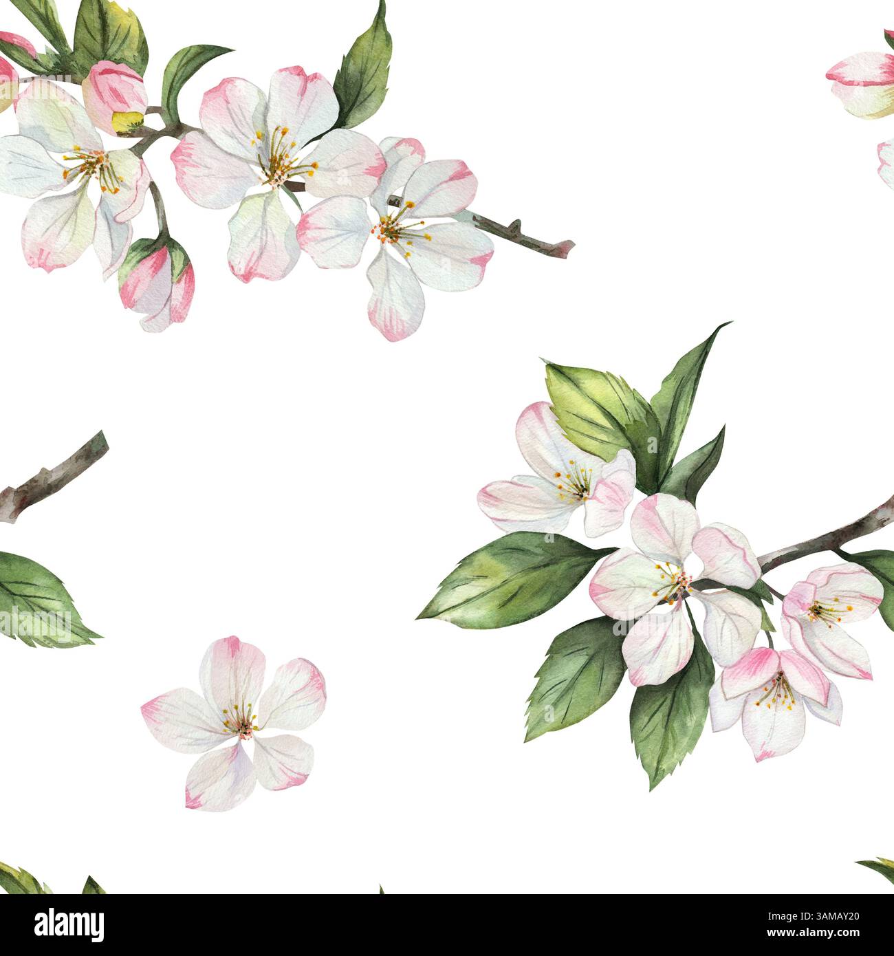 Seamless pattern. Twigs and flowers of an apple tree. Hand drawn in ...