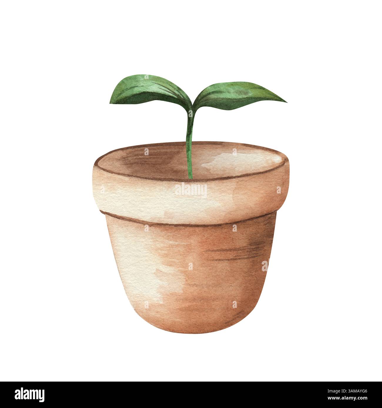 Young, green sprout of seedling in a clay pot on a white background ...