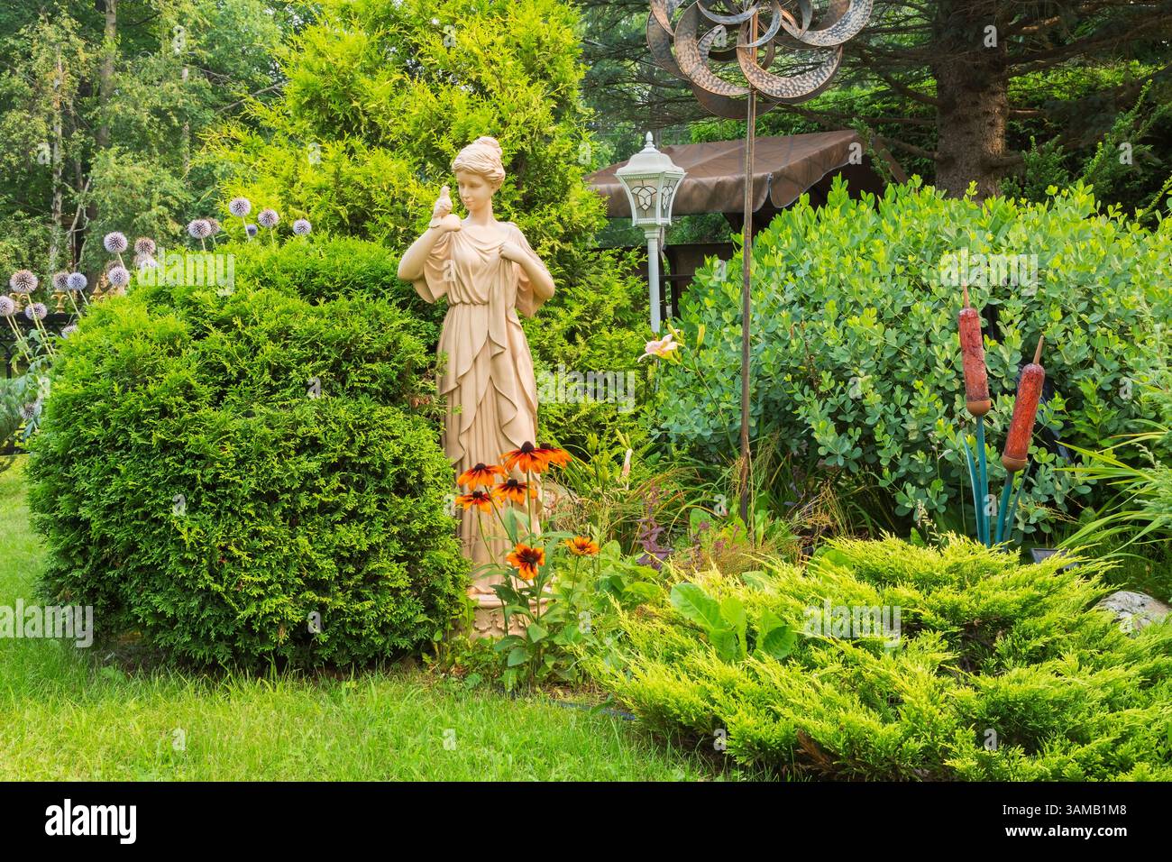 Juniperus chinensis 'Old Gold' - Chinese Juniper, Baptisia 'Grape Taffy ...