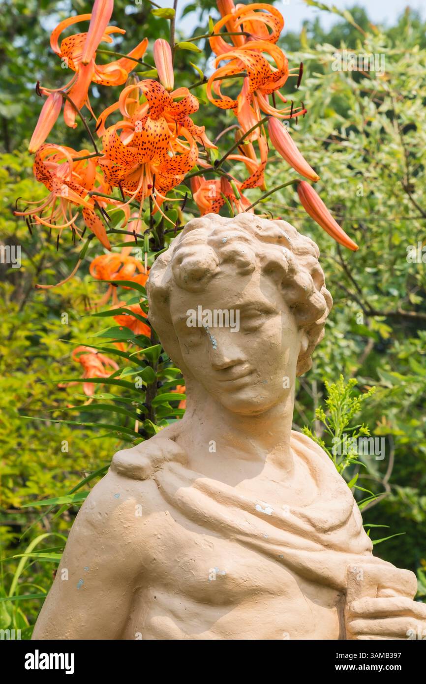 Greek-Roman style statue and Lilium lancifolium - Tiger Lily in ...