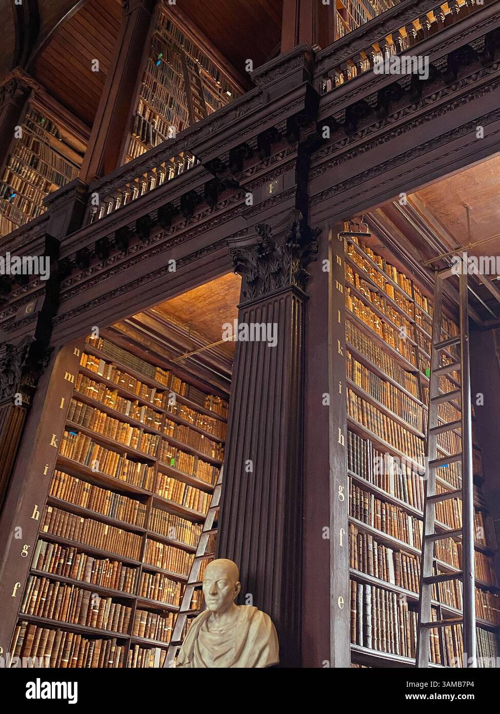Old Library Interior with Wooden Bookshelves – Dublin, Ireland Stock ...