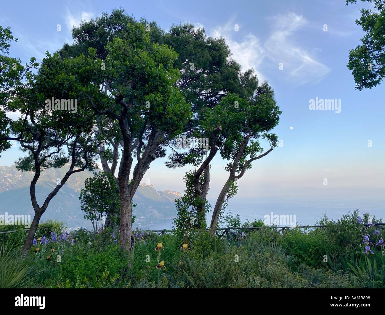 Rooftops seaview panorama hi-res stock photography and images - Alamy