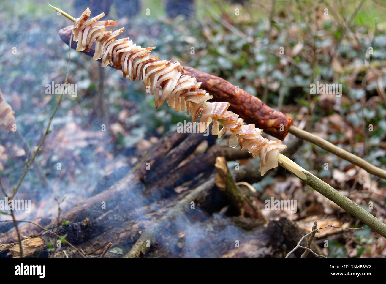 Tasty sausages and bacon skewered on sticks are roasted over a burning ...