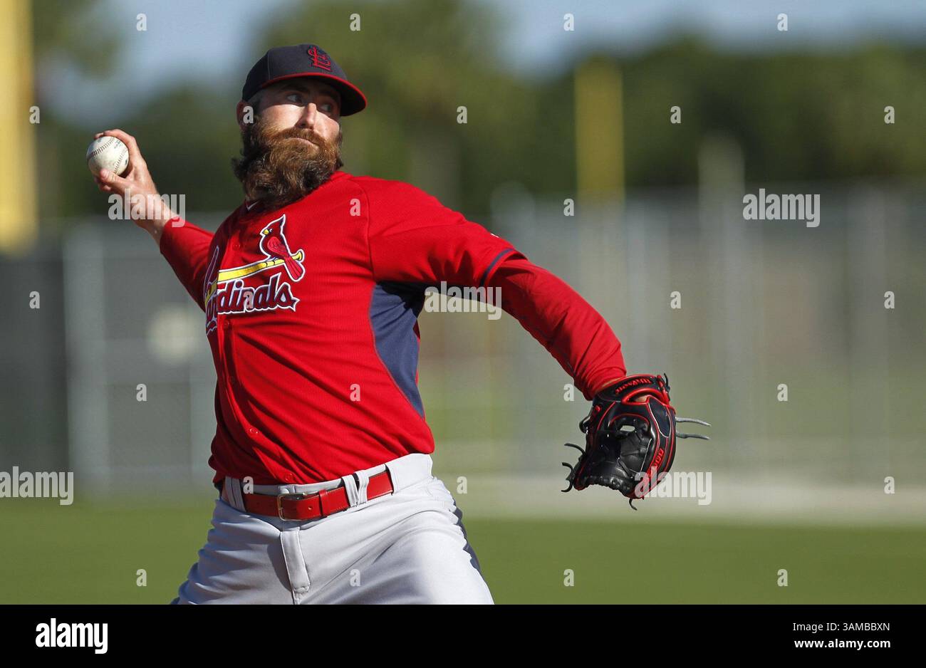 Roger dean stadium complex hi-res stock photography and images - Alamy