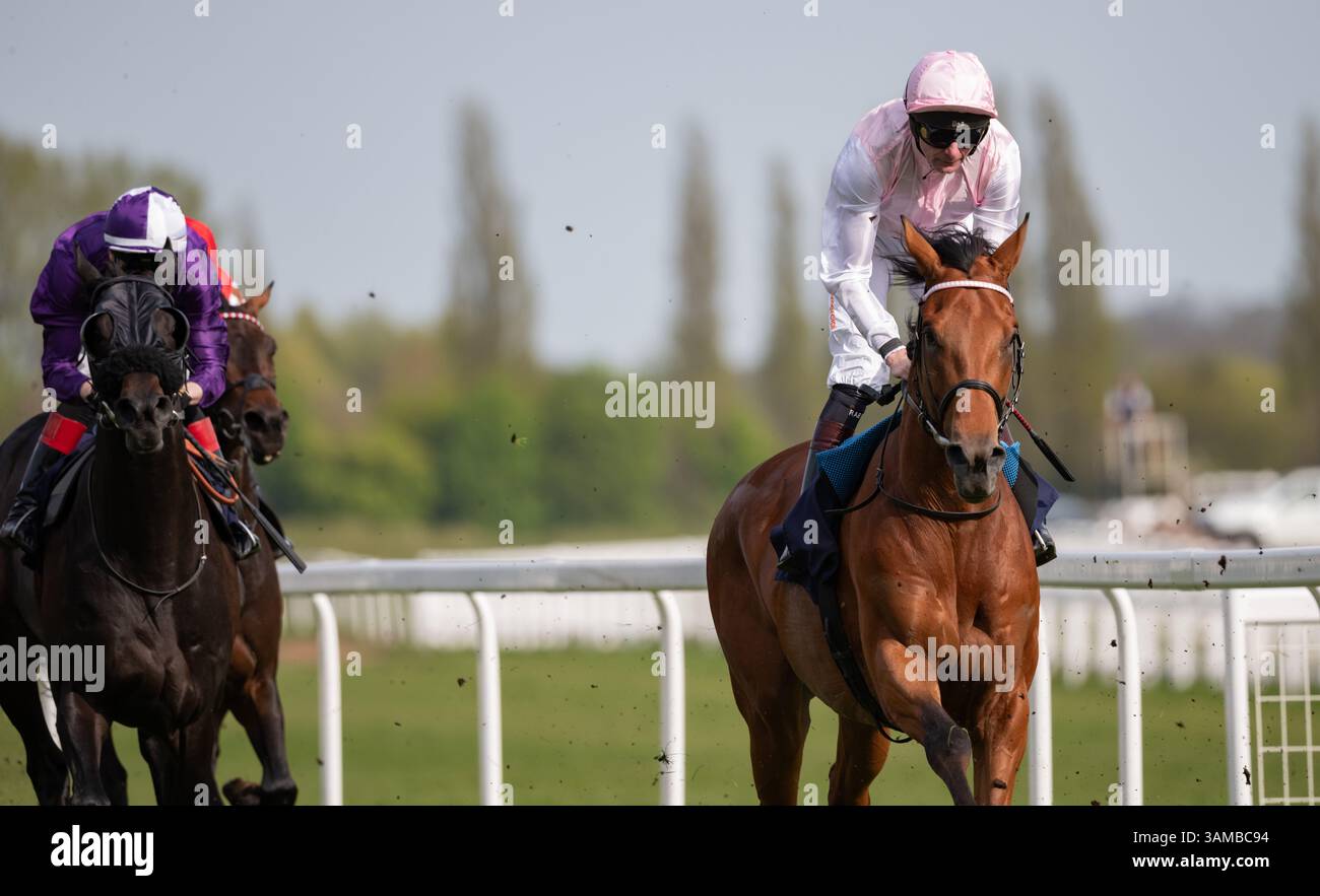 The regally bred colt Kenneth and Robert Havlin finish second on debut ...