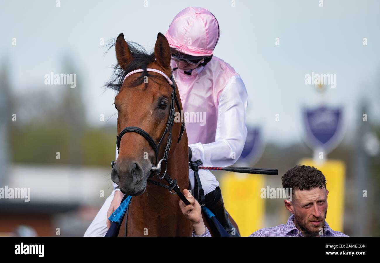 Kingman sire hi-res stock photography and images - Alamy