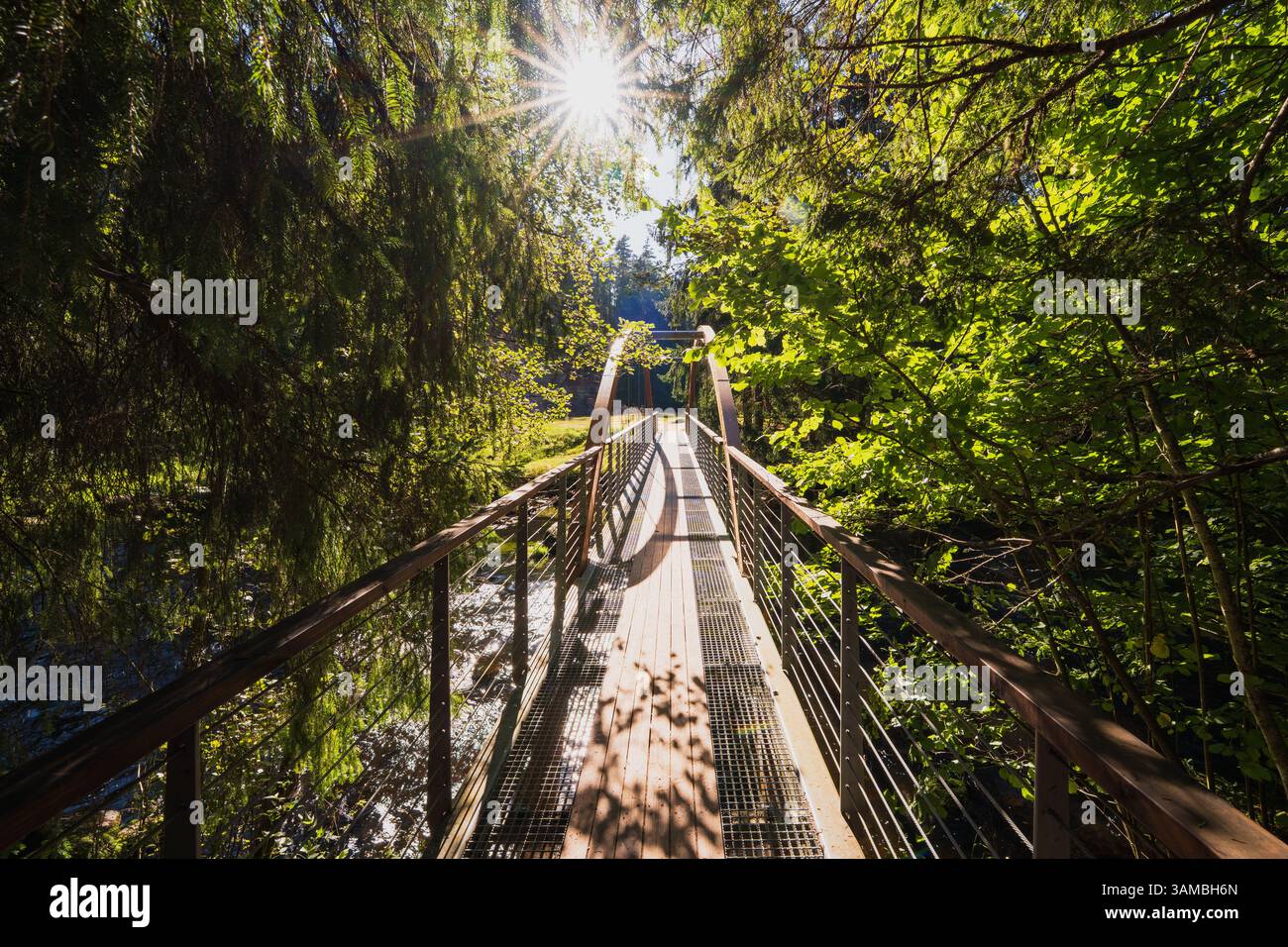 Footbridge with wooden decking crosses the river through a sunny green ...